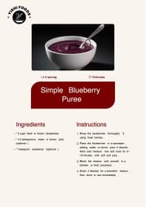 Easy Steps to Make Blueberry Puree - Yishi Foods